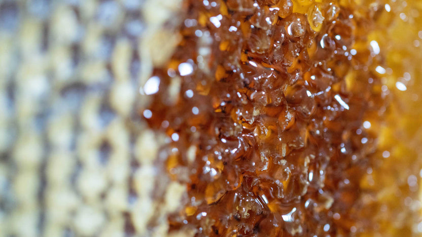 Local Honey Near Me: Where to Buy Raw | Bee Inspired Goods
